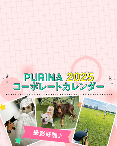 Purina 公式サイト