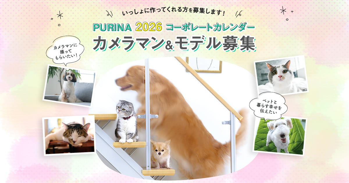 PURINA 2026 コーポレートカレンダー モデル募集 | ピュリナ Purina